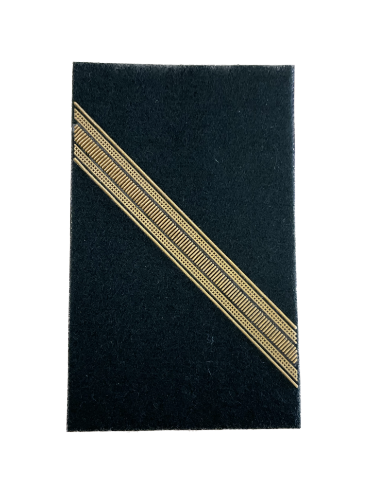 DIVISA VELCRO PVC ASPIRANTE 9X5CM GNR - Security World